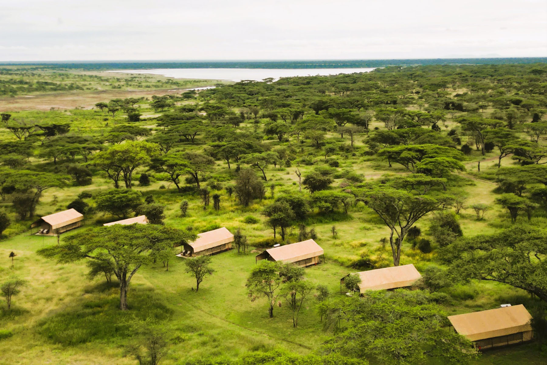 Africa Safari Karatu - Luxury safari lodge - Africa Safari