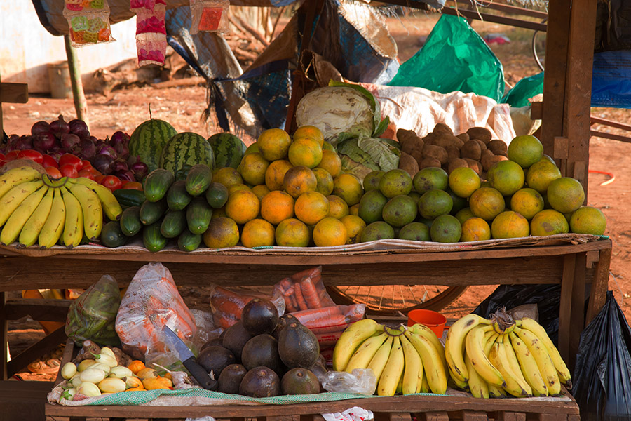 Africa Safari Karatu - Luxury safari lodge - Africa Safari