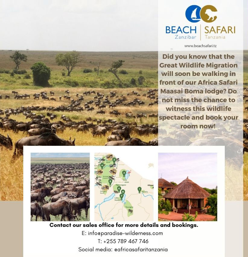 Pololeti Game Reserve - Africa Safari | Your place to Safari!